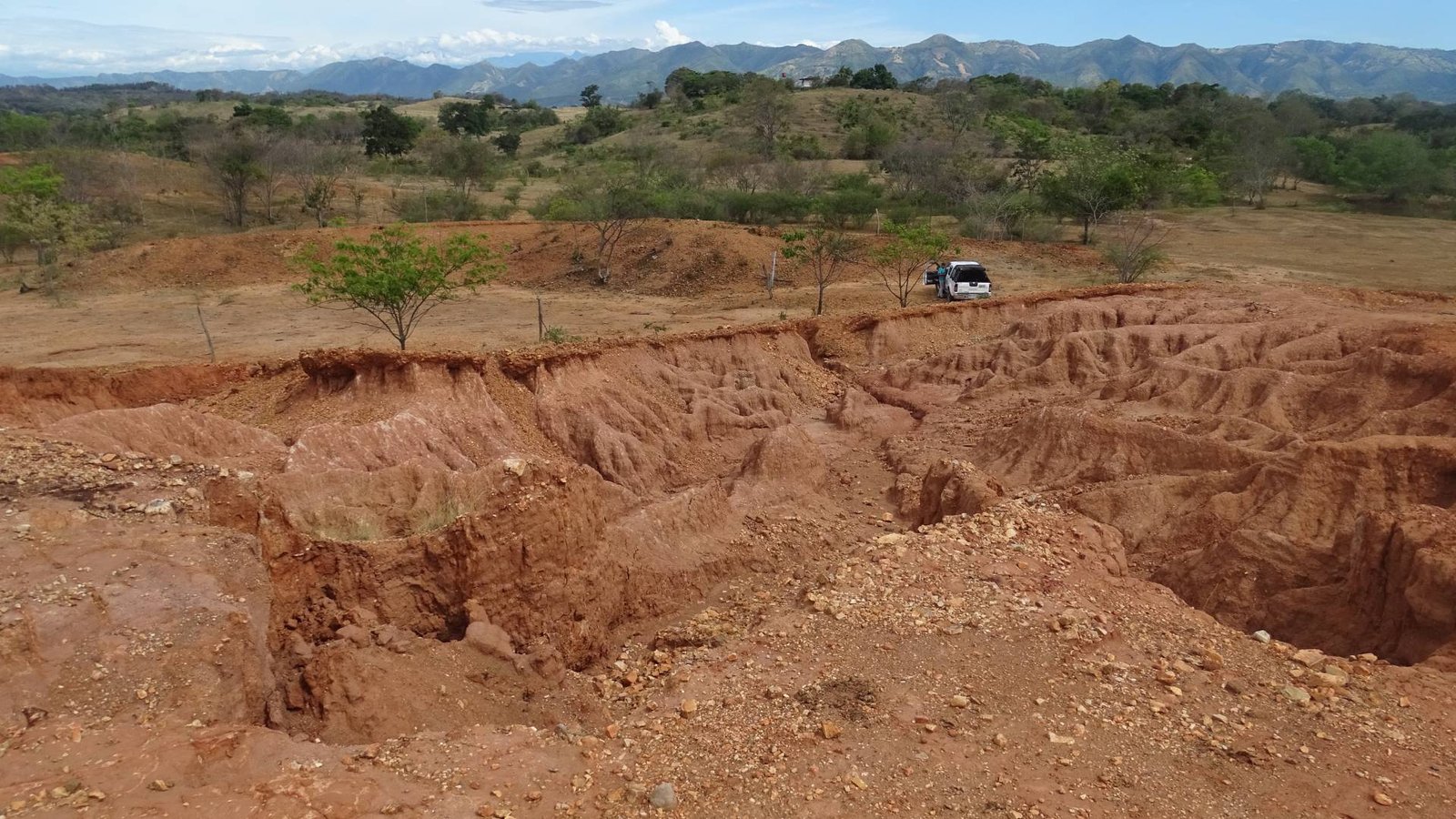 Metamos las manos a la tierra y restauremos el suelo - Fundación Neotropic